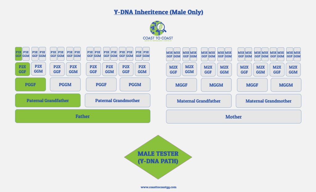 Types of DNA used in Investigative Genetic Genealogy – Coast To Coast ...
